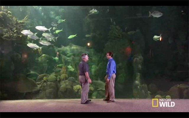 Fish Tank Kings Review and Episode Guide - The DIY Aquarium